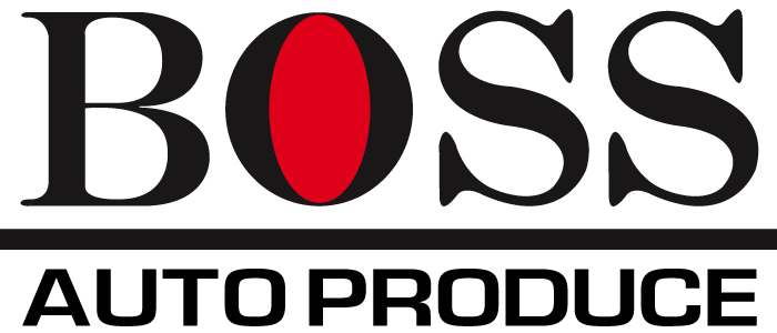 AUTO PRODUCE BOSS（オートプロデュース ボス）ECUチューニング ＆ CUSCO（クスコ）フェア開催！ | スバル レヴォーグ ...